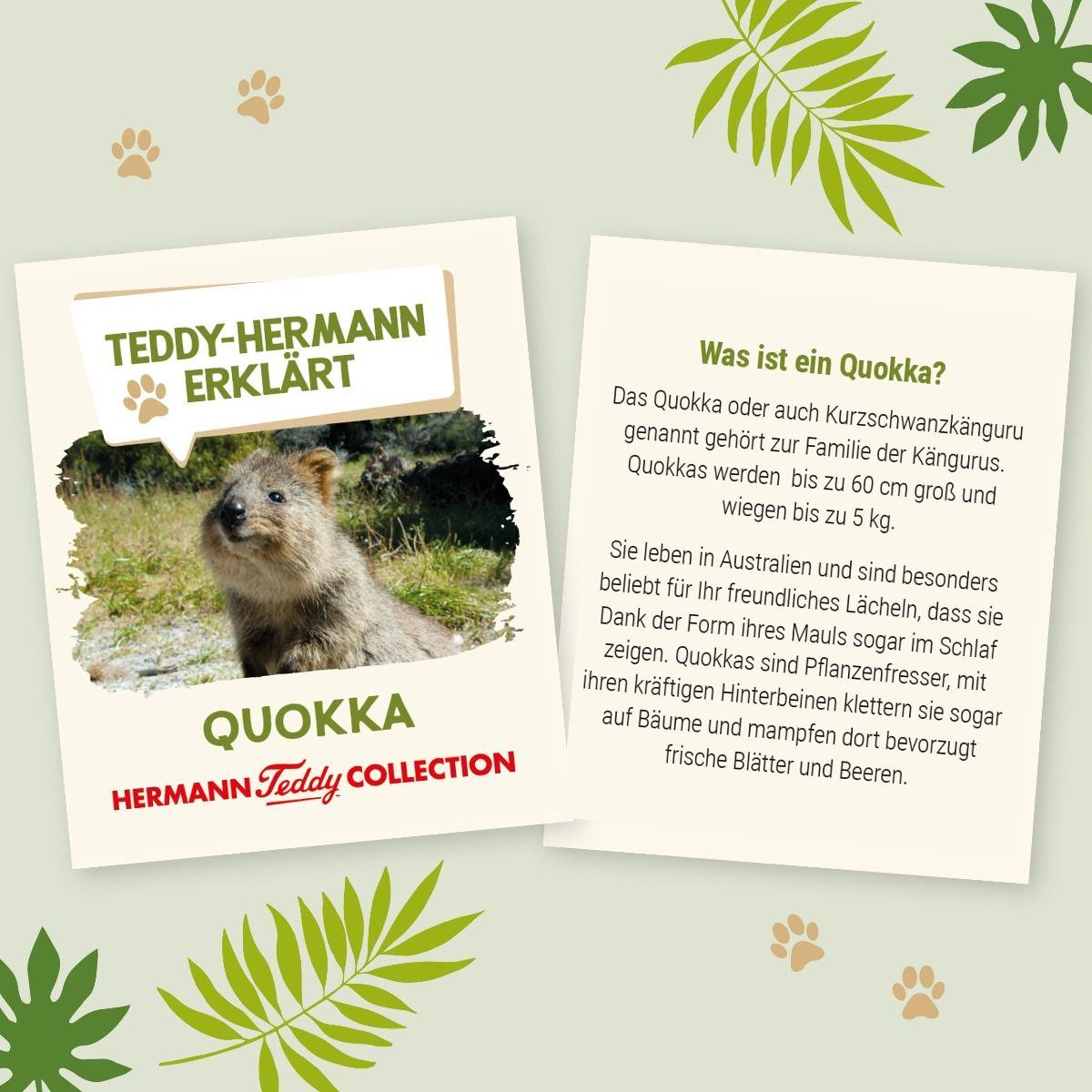 Teddy Hermann Soft toy Quokka, 24cm